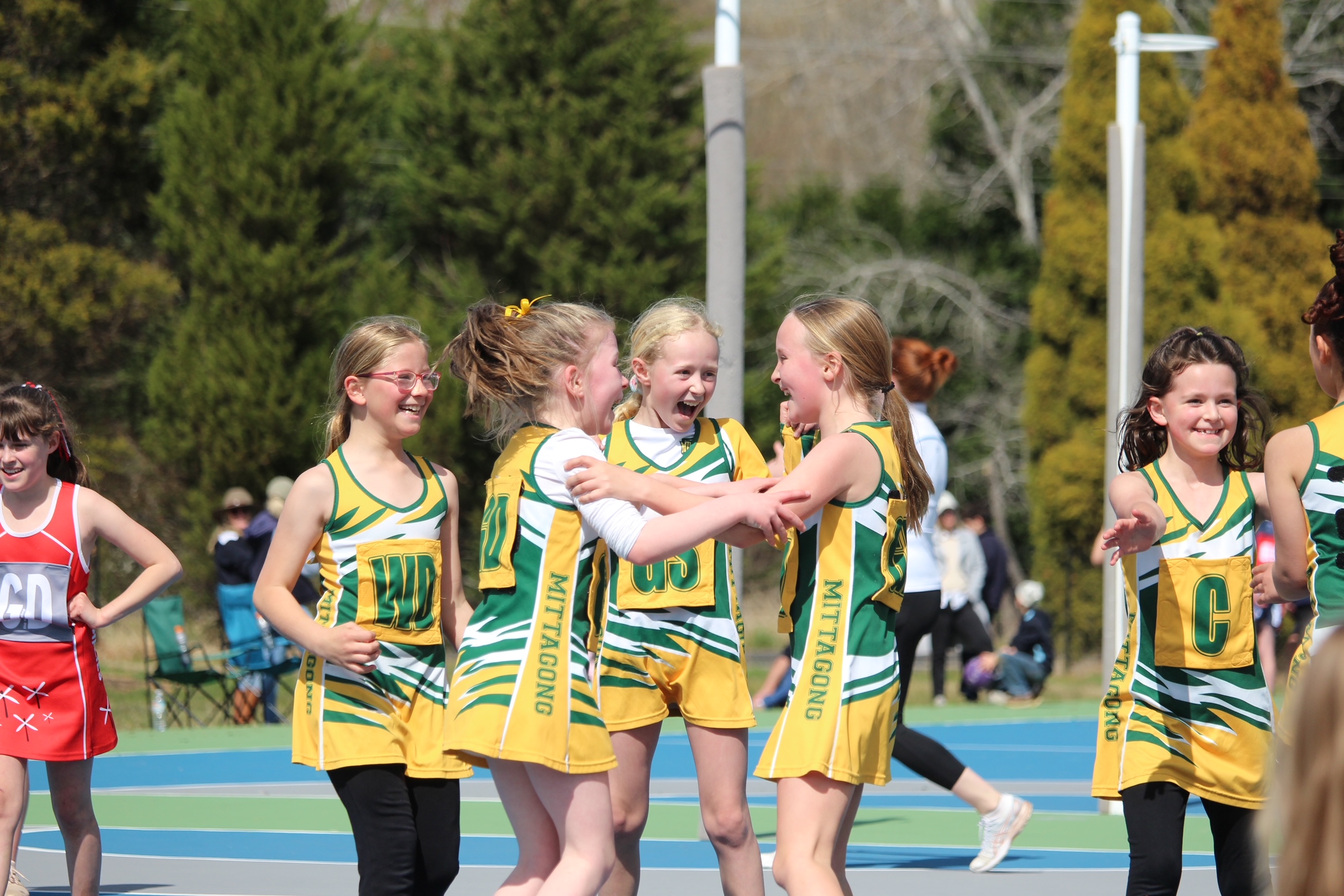 Mittagong Netball Club